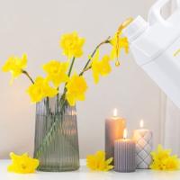China Best Selling Candle Oil Fragrance High Concentrated Candle Fragrance Oils for sale