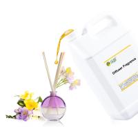 China OEM Perfume Fragrance Oil Concentrated Luxury Fragrance Oil for sale