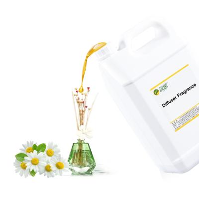 China Reed Diffuser Oils Wonderful Oil For Scent Diffuser Hotel Used Household Used Scent Oil for sale