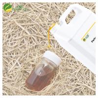 China Bulk Floral High Concentrated Long Lasting Perfume Oil Fragrance for sale