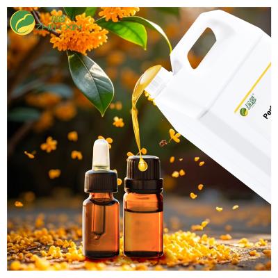 China 100% pure Purity Laurel Fragrance Oil Perfume With Free Sample for sale