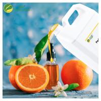 China Sweet Orange Scent Perfume Fragrances Condensed Long Lasting for sale