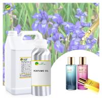China High Quality Famous Oils Perfume Fragrance For Designer Perfume Branded Oils for sale