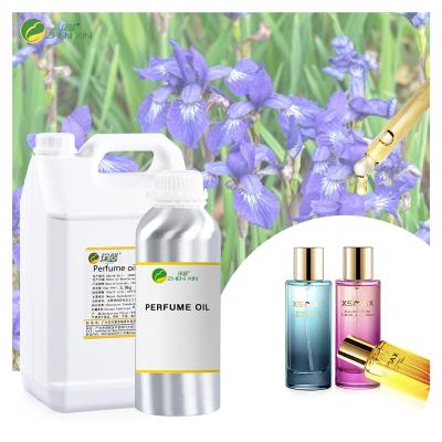 China High Quality Famous Oils Perfume Fragrance For Designer Perfume Branded Oils for sale