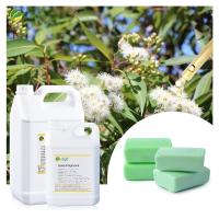 China High Stability Soap Fragrance Oil -eucalyptus Scented Oil for Soaps for sale