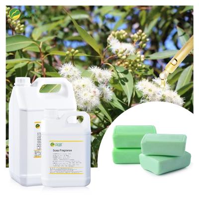 China High Stability Soap Fragrance Oil -eucalyptus Scented Oil for Soaps for sale