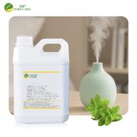 China Concentrated Aroma Chemic Fragarnce and Scent Mint Scented Oil in Bottle for Aromatherapy Diffusers for sale