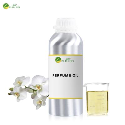 China Perfume Essential Oil Bulk Fragrance Oil Perfumes for Women and Men Designer Arabic Perfume Fragrance Wholesale for sale