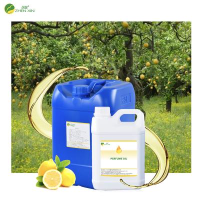 China Designer Perfume Oil Fragrances Musk Lemon Perfume Arabic Long Lasting Body Spray Perfume Fragrance Oils for sale