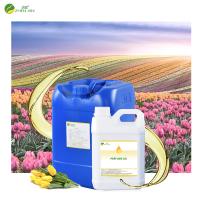 China Perfume Raw Materials Body Spray Roll On Perfume Oil High Quality Perfume Essential Oil Luxury Fragrance for sale