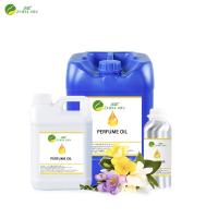 China High Quality Perfume Oil Body Perfume Oil Bulk Perfume Fragrance Wholesale Brand Designer Perfume Concentrate Fragrance for sale