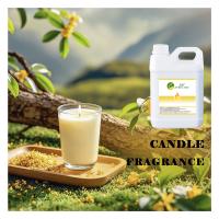 China Manufacturer Premium High Quality Perfume Candle Fragrance Oil Fresh Tea Scents for Candle Making Perfume Fragrances for Candle for sale
