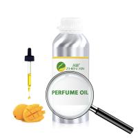 China Wholesale Oud Perfume Fragrance Oil Perfume Wholesale Distributor Arabic Perfume Oil Fragrance Bulk Perfume Arabic Oil for sale
