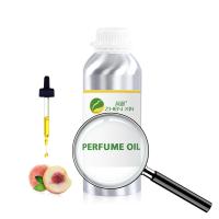 China Perfume Wholesale Distributor High Concentration Perfume Oil Designer Fragrance Oil Luxury Cologne Perfumes for Women and Men for sale