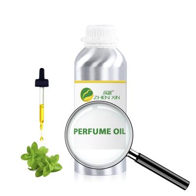 China Luxury Arabic Perfume Oil Men Fragrance Brand Perfume Distributor Designer Inspired Middle East Perfume Fragrance Oil for Men for sale