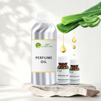China Perfume Wholesale Distributor Body Oil Perfumes Luxury Cologne Perfumes for Women and Men Designer Perfume Oil Fragrance for sale