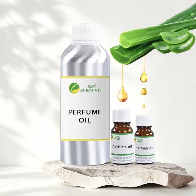China Perfume Wholesale Distributor Body Oil Perfumes Luxury Cologne Perfumes for Women and Men Designer Perfume Oil Fragrance for sale