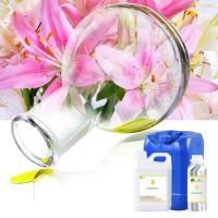 China Perfume Fragrance Oil Perfume Essence Oil For Body Spray Brand Luxury for sale