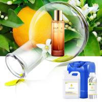 China Lasting Dubai And French Perfume Essence Oil For Body Spray Brand Luxury for sale