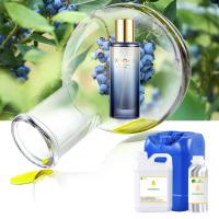 China Luxury Arabic Brand Perfume Fragrance Wholesale High Quality Perfume Oil for sale