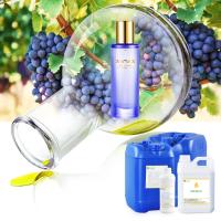 China Arabic Inspired Perfume Fragrance Wholesale High Quality Brand Perfume Oil for sale