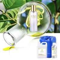 China Dubai Perfume Fragrance Wholesale High Quality Designer Perfume Oil for sale