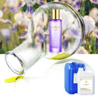 China Luxury Dubai Arabic Perfume Essence Oil For Long Lasting Brand Perfume for sale