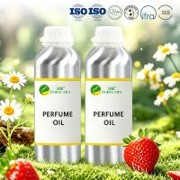 China Dubai Arabe Luxury Perfume Oil Long Lasting Perfume Fragrance Wholesale for sale