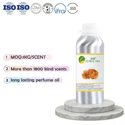 China Strong Amber Scent Fragrance Woody Perfume Essence Oil For Body Spray for sale