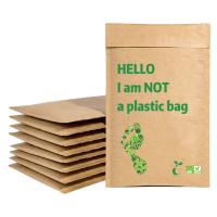 China Water-resistant Exterior Padded Paper Mailer Designed to Meet USPS Shipping Carrier Standards Packaging for Business Mailing for sale