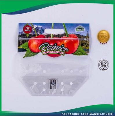 China Recyclable Plastic Custom Printed Packaging Bags for Food / Garments / Grocery for sale