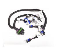 China Customize Wire Harness  Wiring Harness Assembly 1 Years Warranty Manufacturer for sale