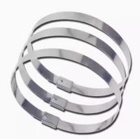 China 4.6*200mm Heavy Duty 304 Stainless Steel Zip Ties Self-Locking Metal Cable Ties For Outdoor Use for sale
