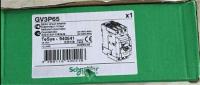 China Schneider GV3P40 GV3P65 Motor Control Circuit Breaker TeSys GV3 Thermal Magnetic Protector for sale
