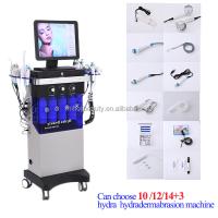 China Vertical Professional Hydrafacial Machine Deep Cleaning 14+3 Hydration Facial Machine for sale