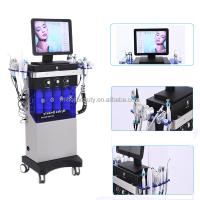 China Vertical Professional Hydrafacial Machine Deep Cleaning 14+3 Hydration Facial Machine for sale