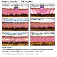 China Portable Cold Plasma Machine Professional For Skin Care And Anti Inflammatory for sale