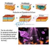China 8 Handles Cryolipolysis Slimming Machine with 10.4 Inch LCD Display Screen for sale