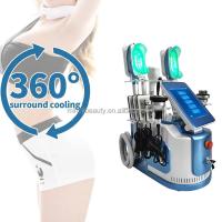 China 5 Handles Cryolipolysis Slimming Machine Body RF With LCD Display for sale