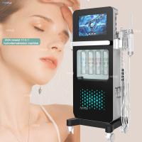 China 17 in 1 Hydrodermabrasion Facial Machine with 12.1 Inch LCD Touch Screen for sale