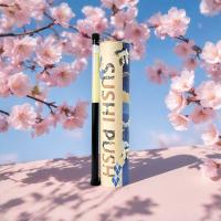 China Custom Disposable Food Grade Sushi Push Up Pop Tube Sushi Cylinder Paper Tube for sale