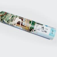 China Cylindrical Kraft Paper Mailing Tubes Packaging For Protecting Map for sale