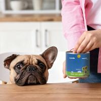 China Custom Eco Friendly Dog Food Paper Can Packaging With Easy Open Lids for sale