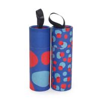 China Eco Friendly Cardboard Paper Can Packaging Biodegradable Earphone Paper Tube for sale