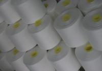 China TFO 30S/3 Spun Polyester Thread Raw White Pattern for Sewing with OEKO TEX CERTIFICATE for sale