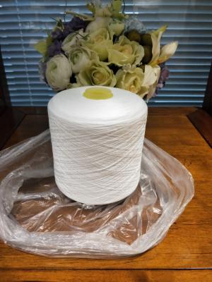 China PPC 45S/2 Core Sewing Thread raw white bright color SZ twist for sale