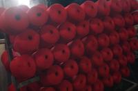 China Spun Polyester Sewing Thread 40/2 High Tenacity   Chemical Resistance for sale