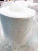 China High Tenacity TFO 22S/2 22S/3 22S/4 Raw White Polyester Yarn for sale