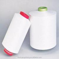 China High Strength Drawn Textured Yarn Dty 50D 24F White Black Filament for sale