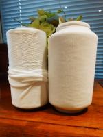 China Low Shrinkage Polyester High Strength Thread 210D/3 UV Resistant For Shoes for sale
